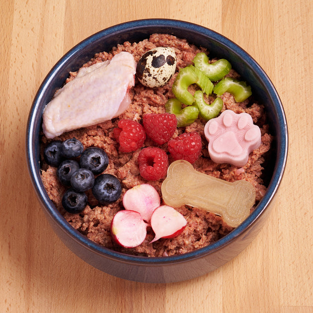 8 Benefits of a Raw Food Diet for Dogs – Maximum K9 Services