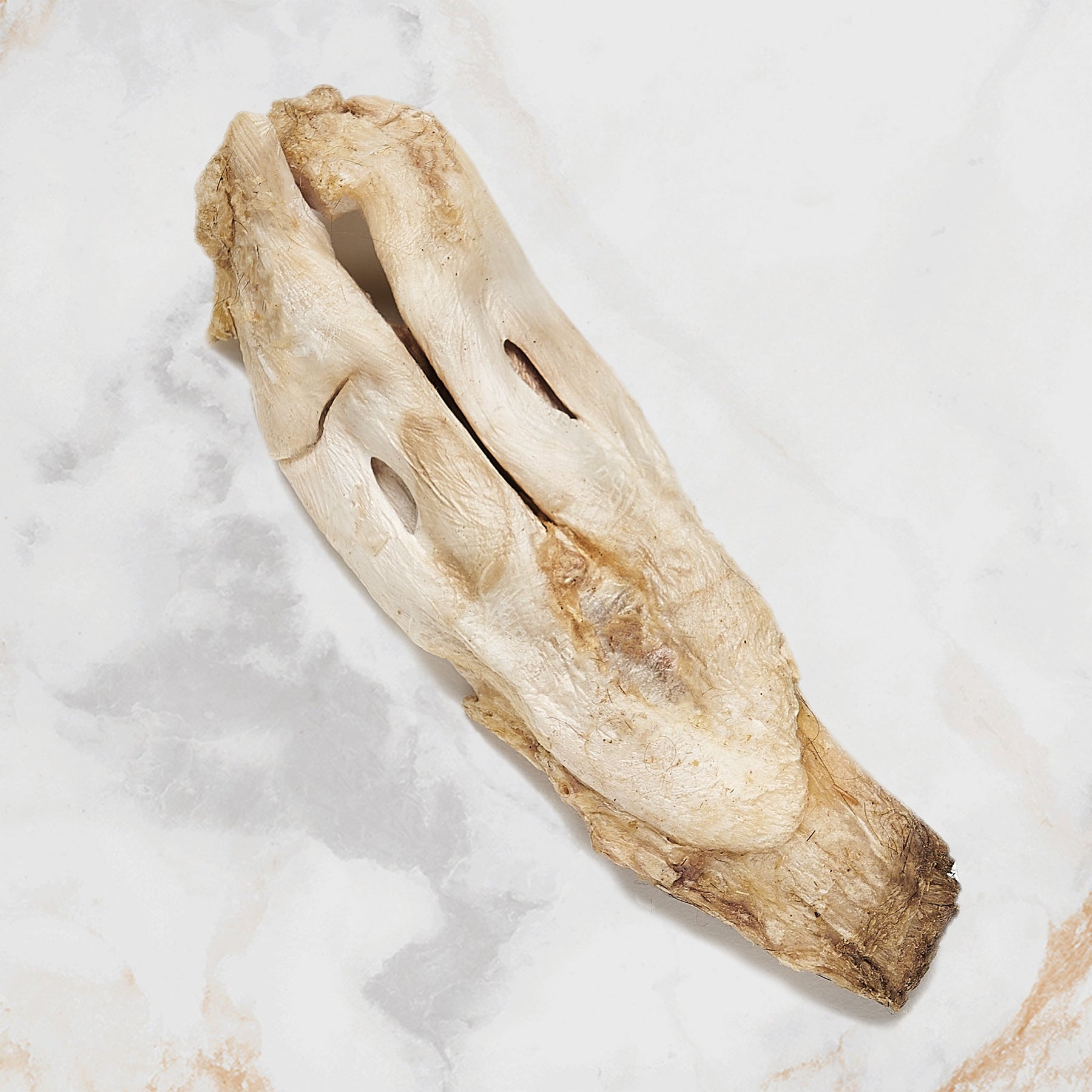 Freeze-Dried Bison Half Flexor Tendon – Maximum K9 Services