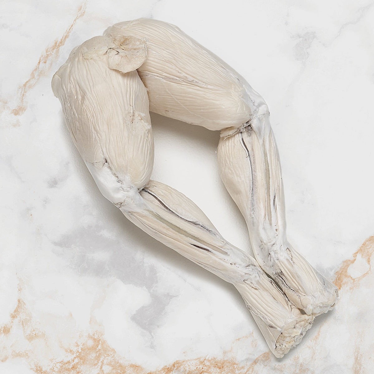 Freeze-dried Frog Legs – Maximum K9 Services