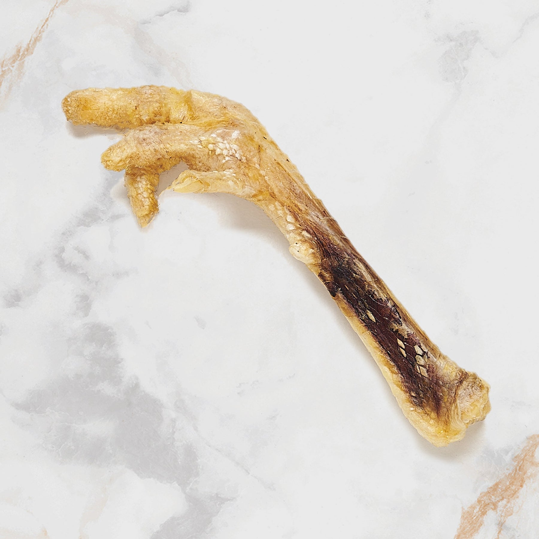 Freeze-Dried Pheasant Feet – Maximum K9 Services