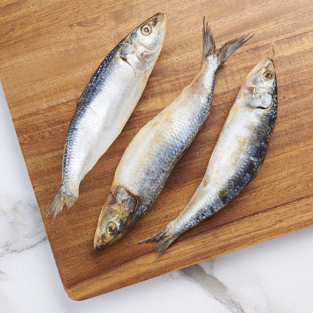 Raw Meaty Bones and Organs – Tagged "Sardines"– Maximum K9 Services