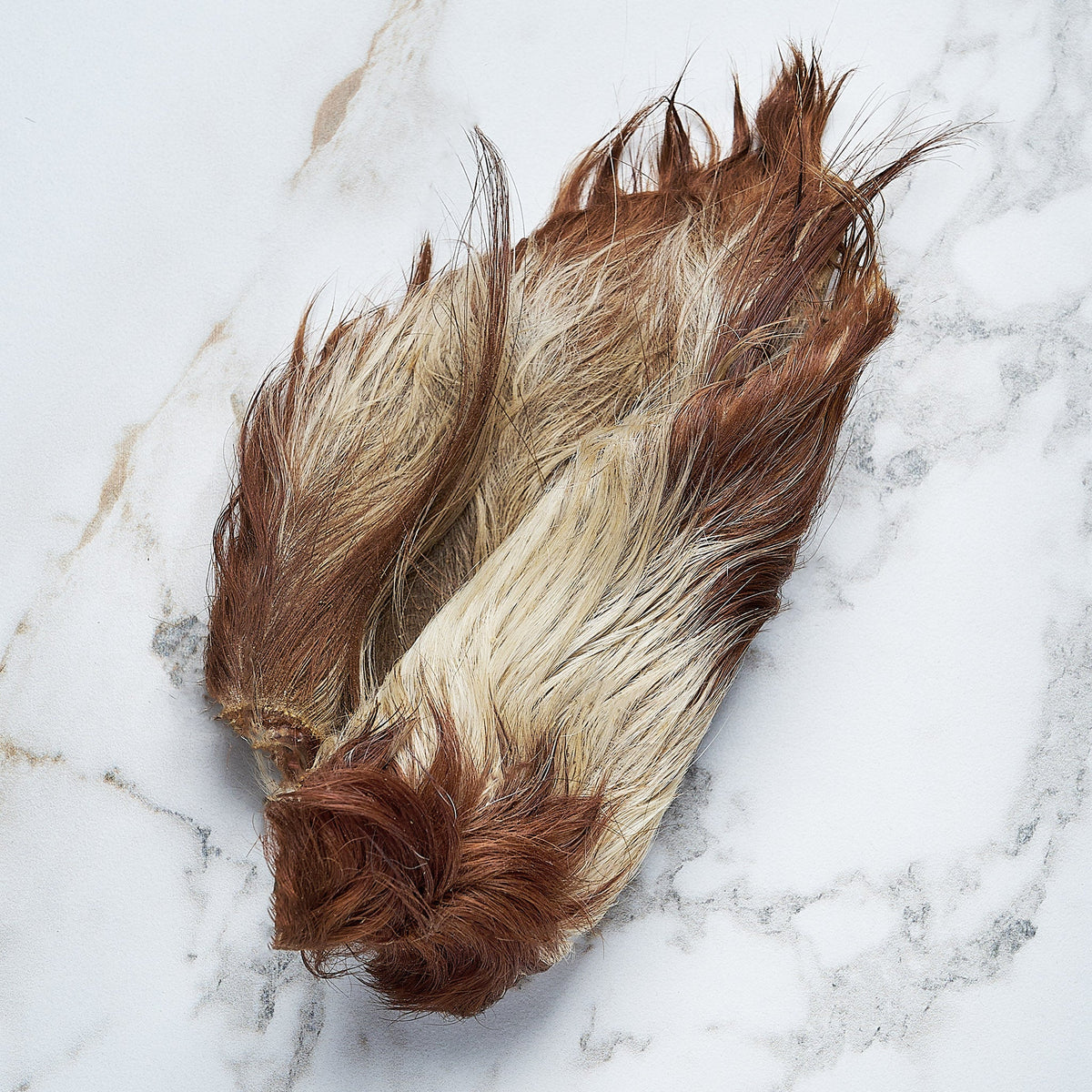 Beef Ear with Hair – Maximum K9 Services