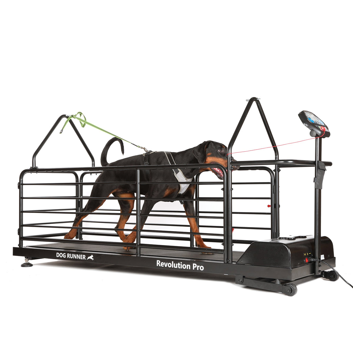 Dog Runner Treadmill Revolution Pro – Maximum K9 Services